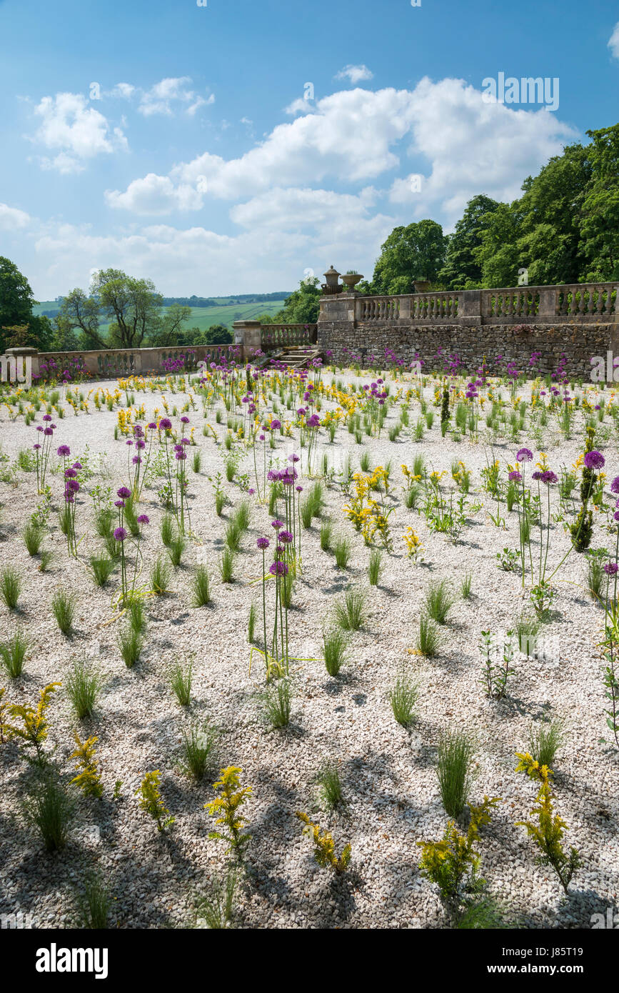 Newly planted terrace at Thornbridge hall gardens near Great Longstone ...