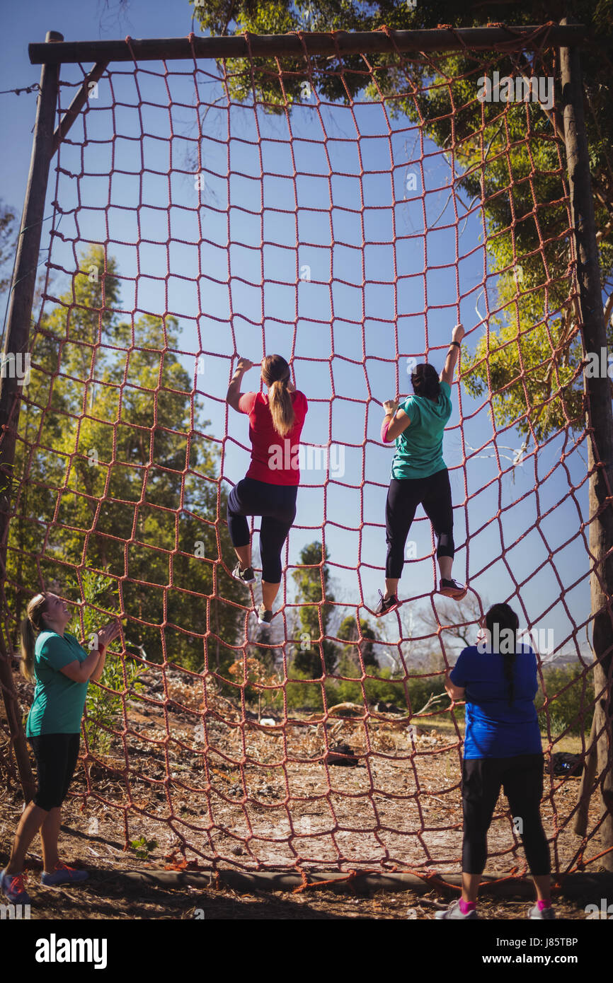 Group of fit woman climbing a net during obstacle course training in ...
