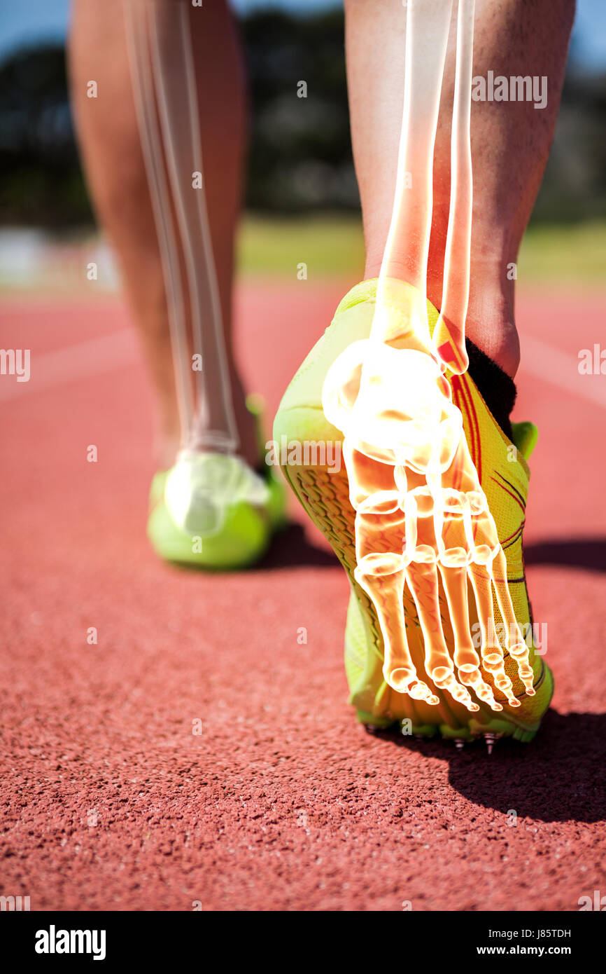 Digital composite of highlighted foot bones of jogging man Stock Photo ...
