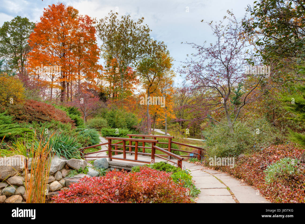 tree trees park bridge gardens landscaping path way fall autumn ...