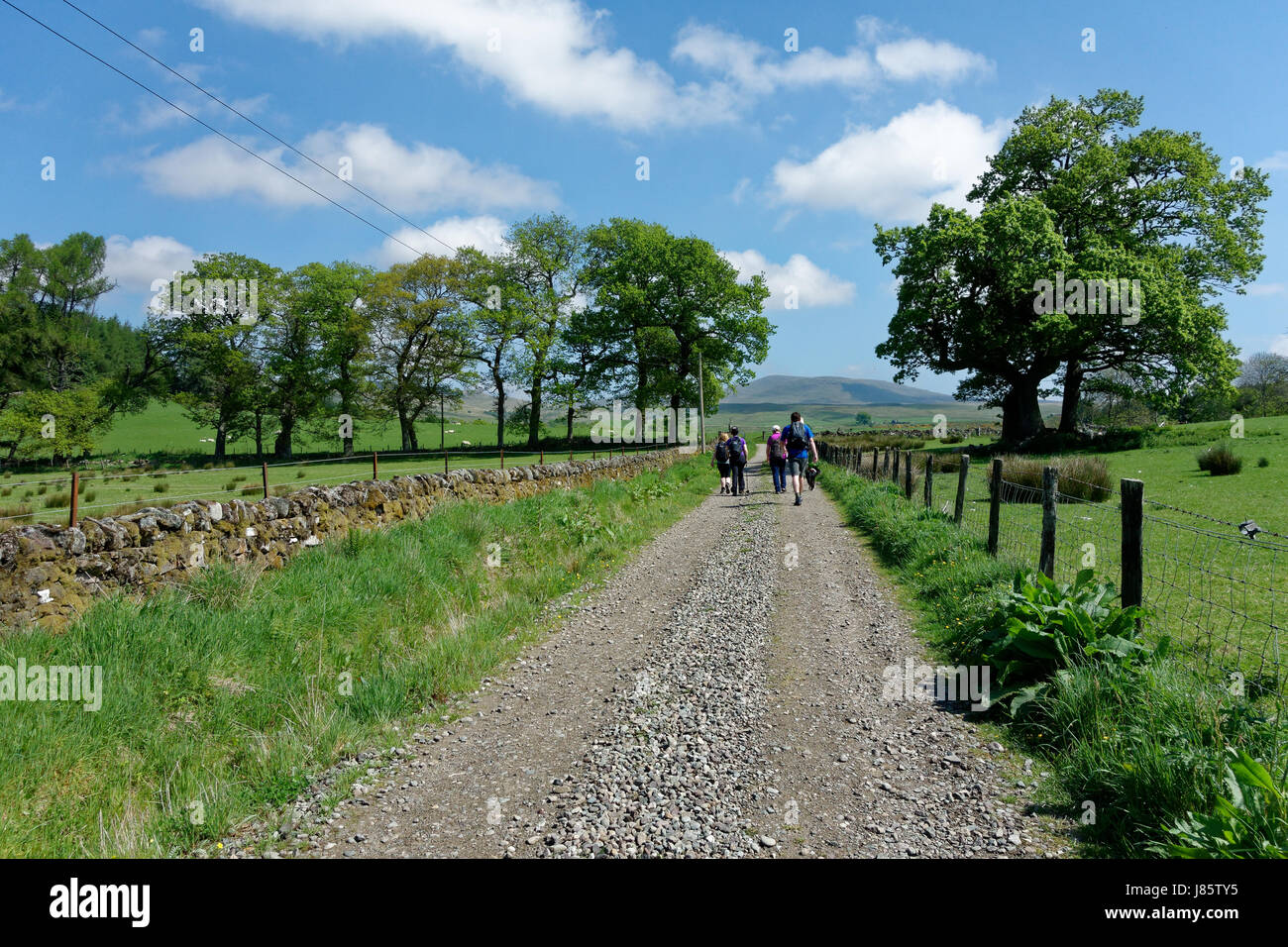 Woodland walks around the Callander Crags Stock Photo - Alamy