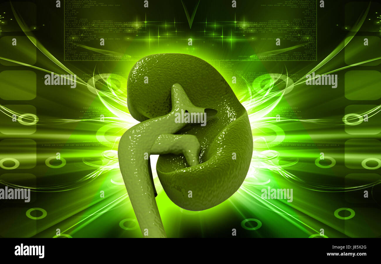 object education health medicinally medical graphics colour science ...