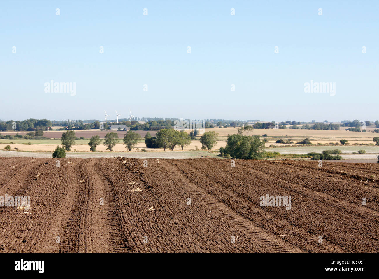 blue tree trees ground soil earth humus agriculture farming shine ...
