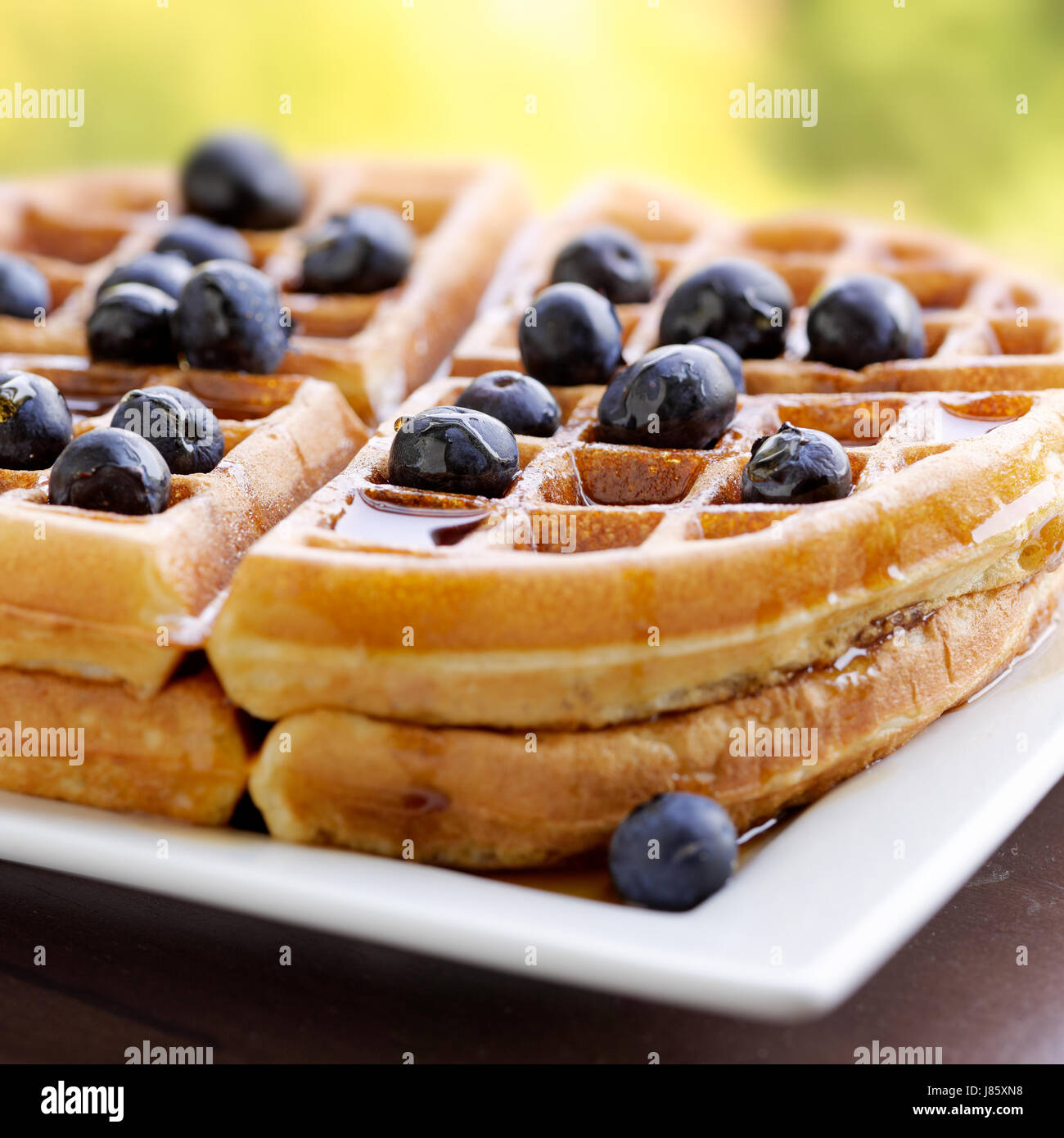 food aliment waffle blueberry breakfeast breakfast still life blue food ...