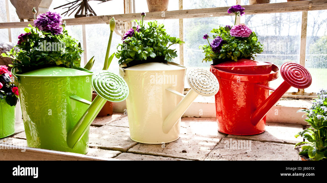 house building leaf tool object flow garden flower plant agriculture ...