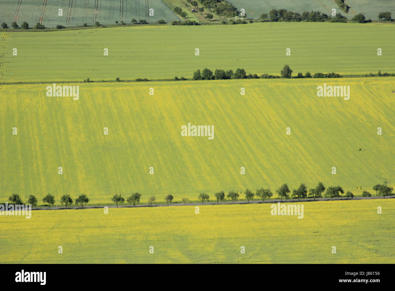 agriculture farming field acre aerial photograph track area design ...