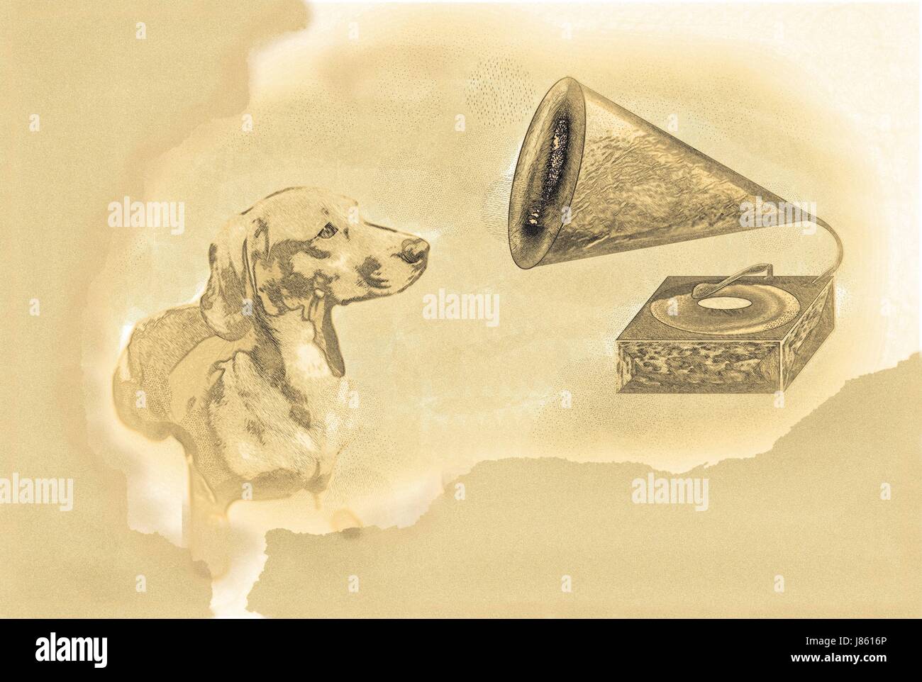 Dog and gramophone hi-res stock photography and images - Alamy