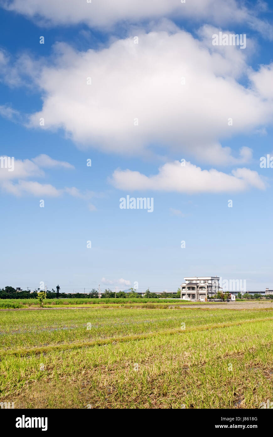 agriculture farming outdoor farm landscape scenery countryside nature ...