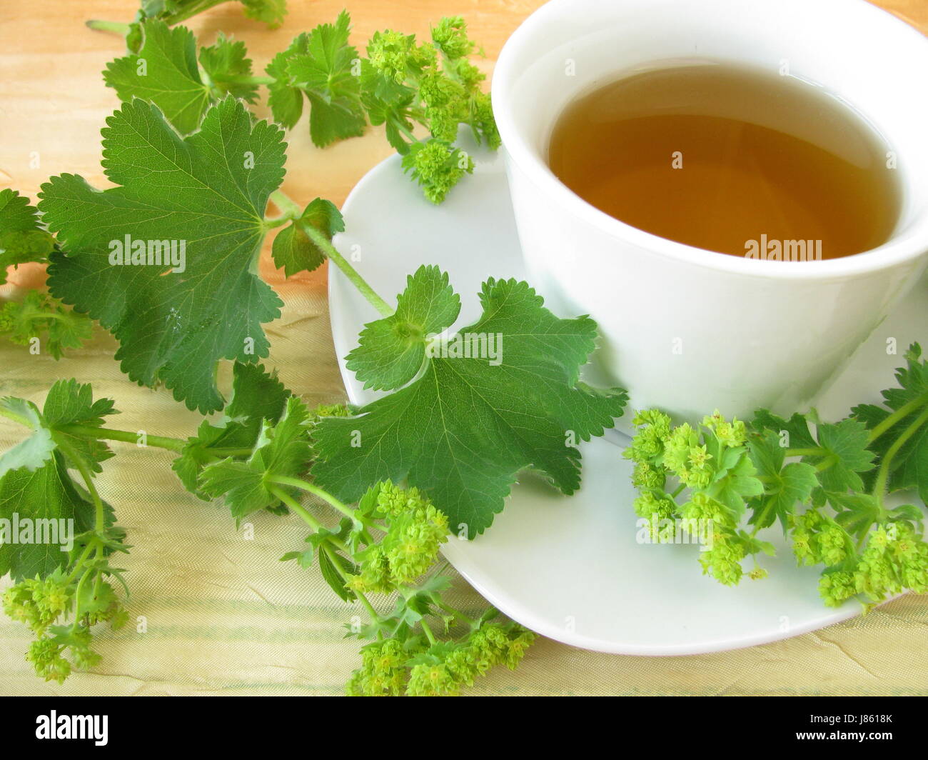 tea herb tea blend of tea cup tea health drink cure medicinal plant ...