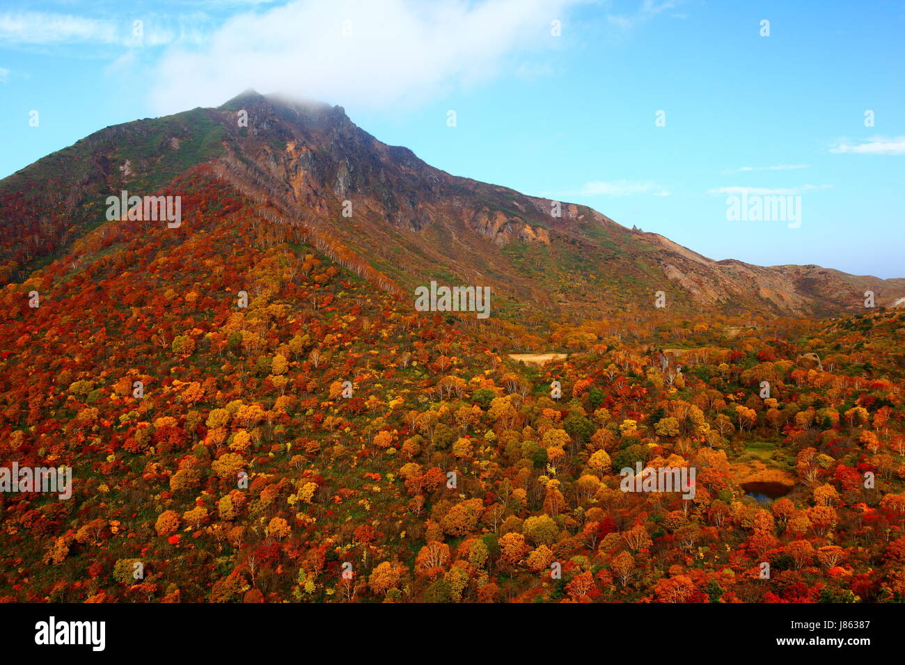 autumn foliage japan landscape scenery countryside nature mountain ...