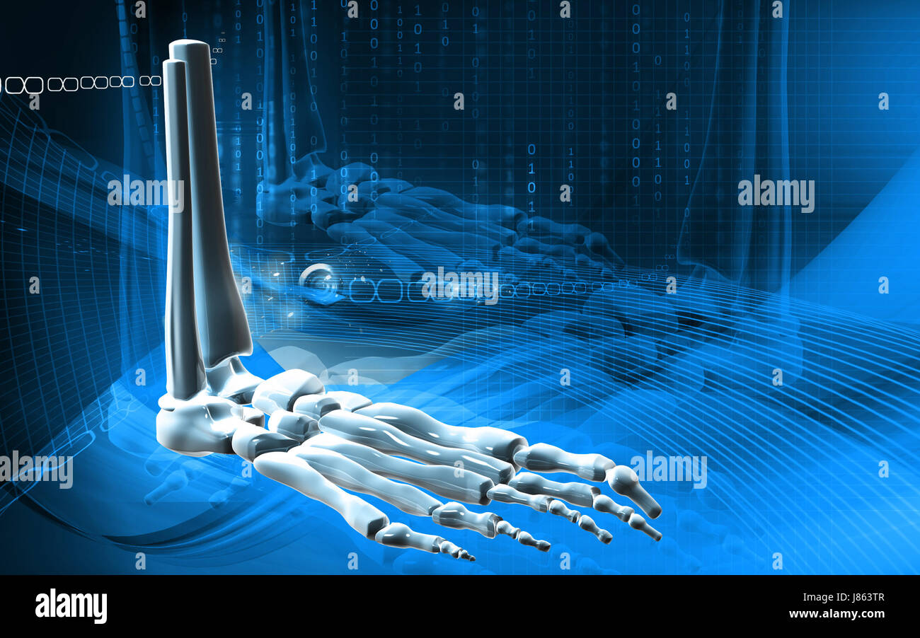 medicinally medical graphics colour human human being foot toe ...