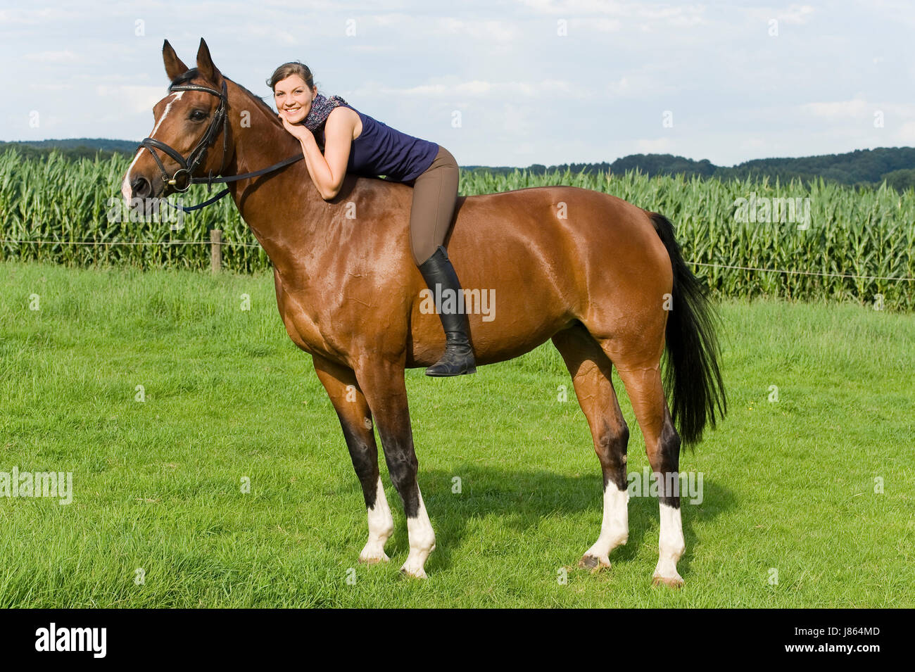 spare time free time leisure leisure time sport sports ride horse ...