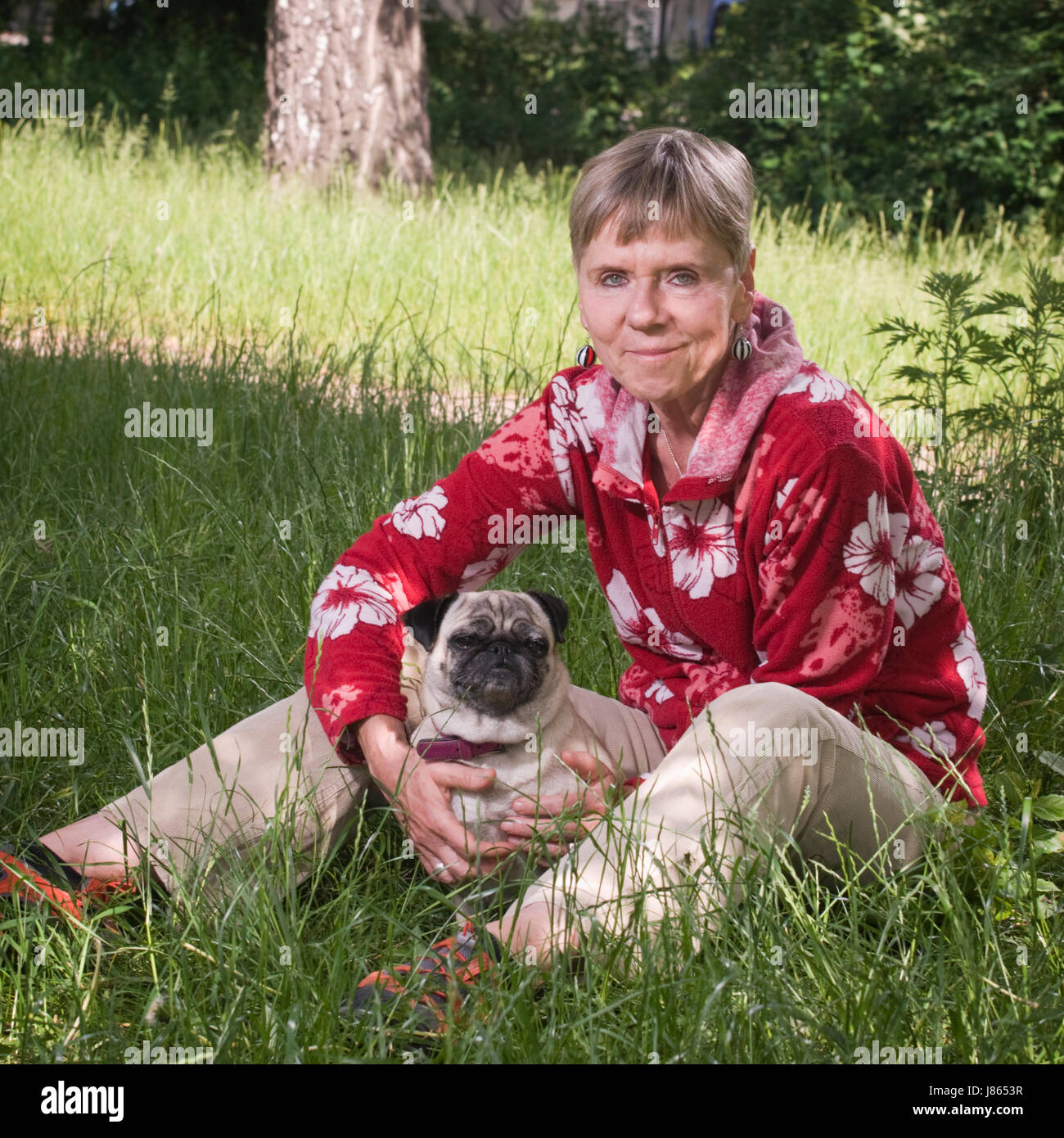 my pug dog Stock Photo - Alamy