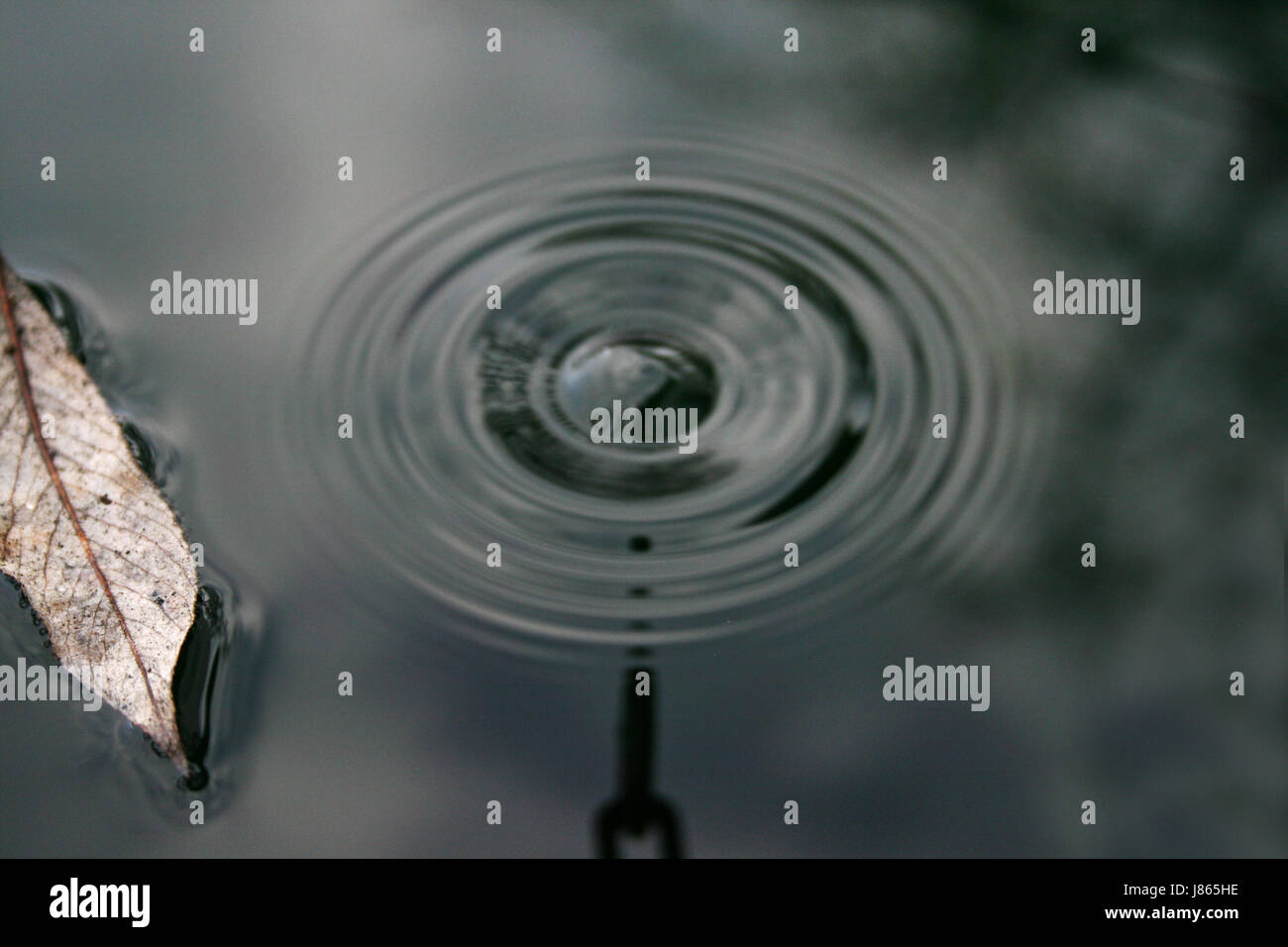 Die vier elemente hi-res stock photography and images - Alamy