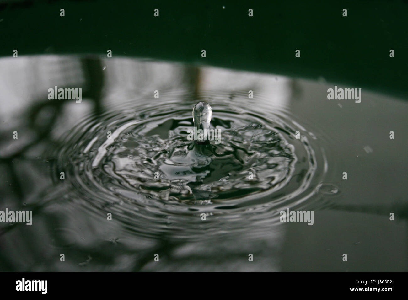 detail water drop waterdrop water drop drip drops seeping sopping drips ...