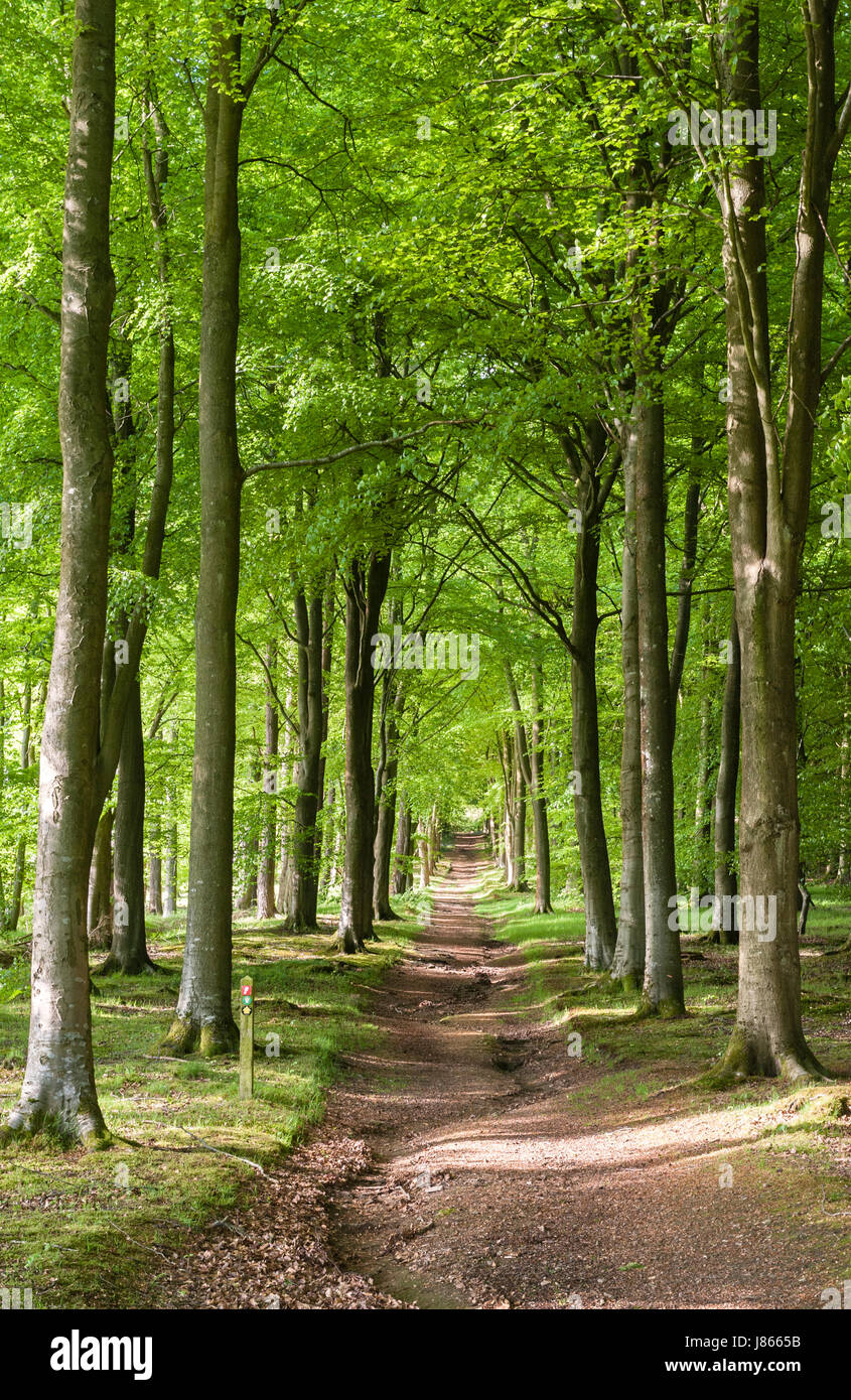 Mortimer trail herefordshire hi-res stock photography and images - Alamy