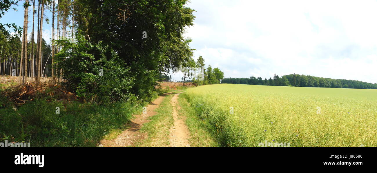 dirt road sight view outlook perspective vista panorama lookout path ...