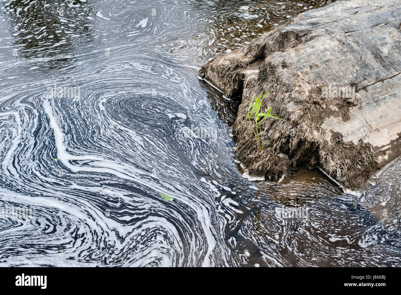 Agricultural pollution in water hi-res stock photography and images - Alamy