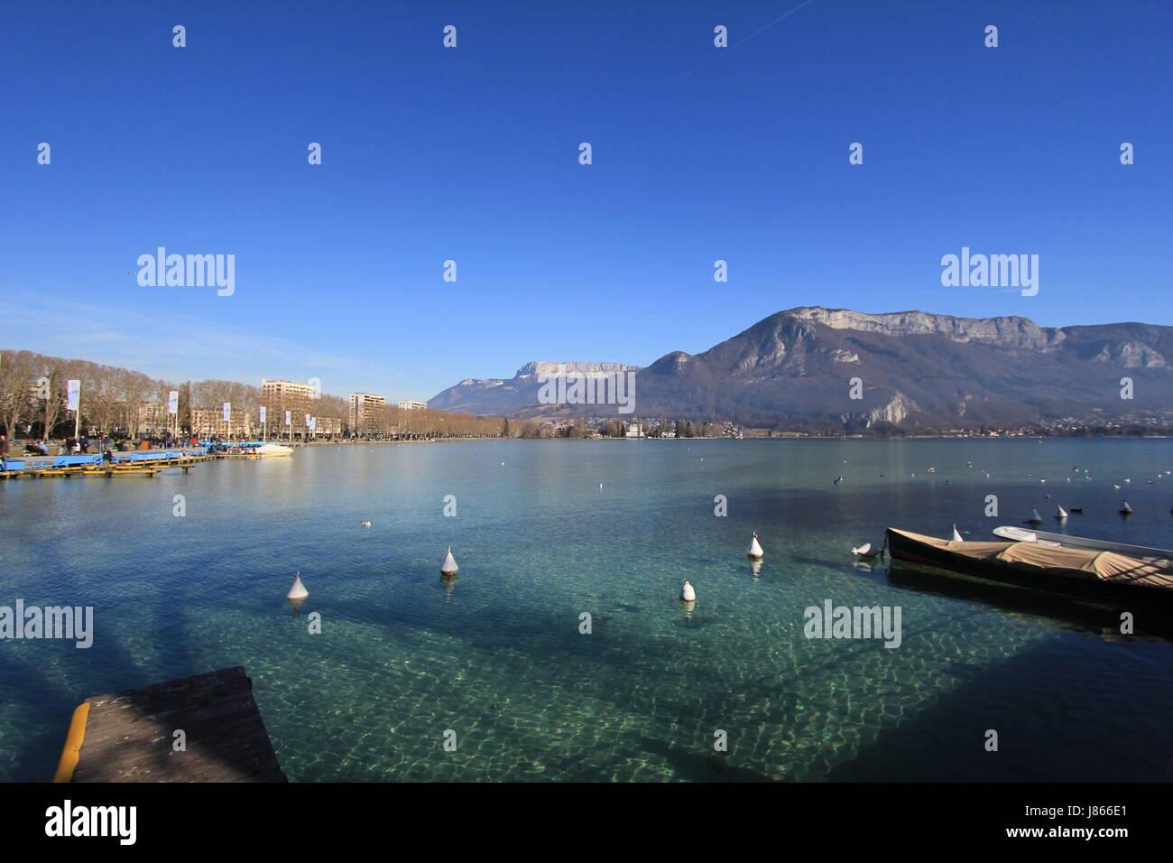 blue buildings city town flower flowers plant europe style of ...
