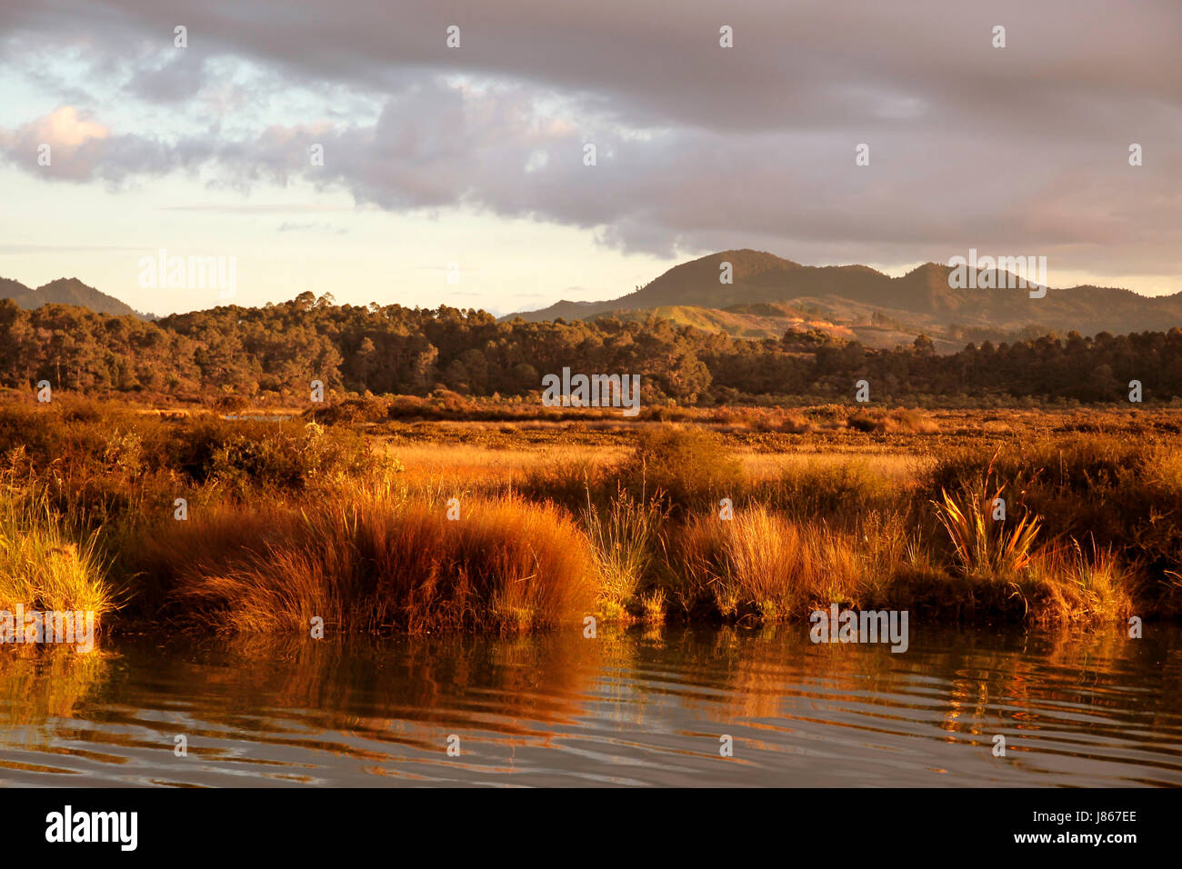coast new zealand unaffected firth nature blue shine shines bright ...