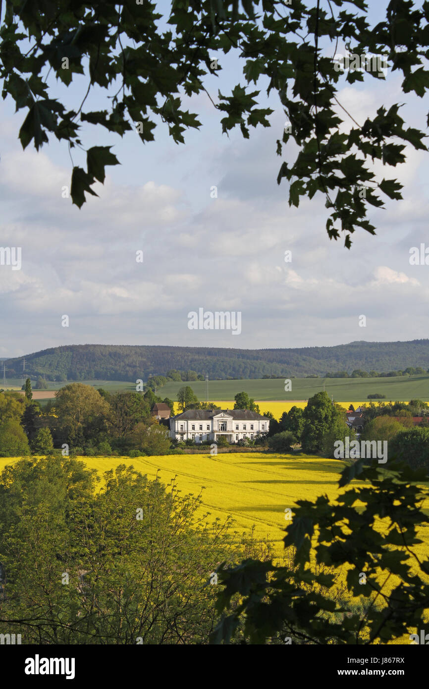 bucolic, coleseed, agriculture, farming, lower saxony, ear, coleseed ...