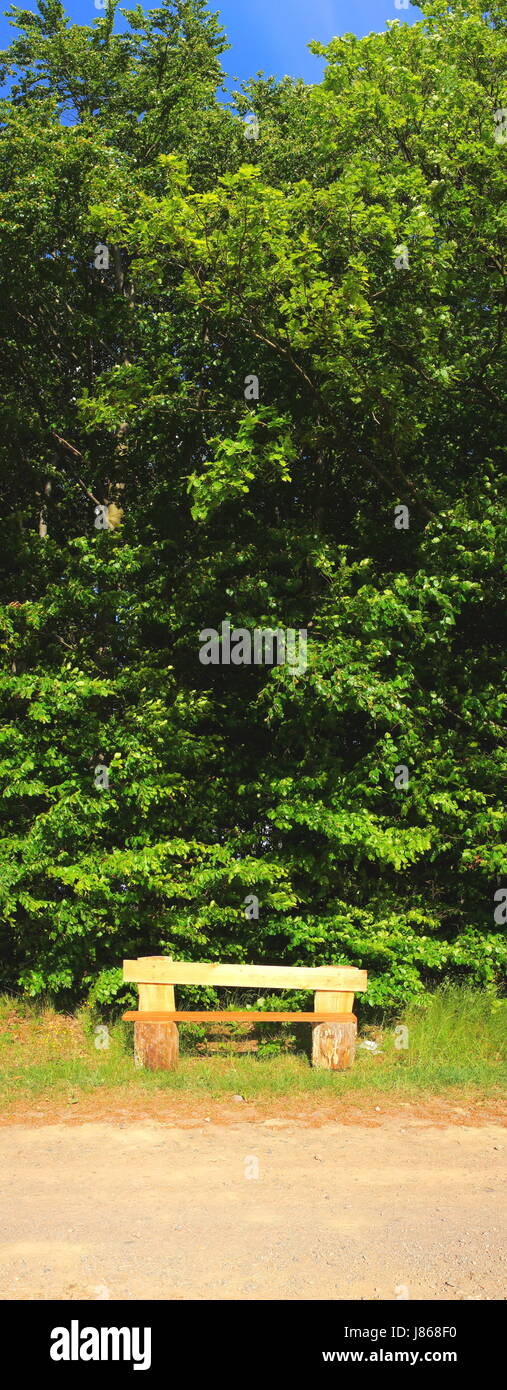 tree, sight, view, outlook, perspective, vista, panorama, lookout ...