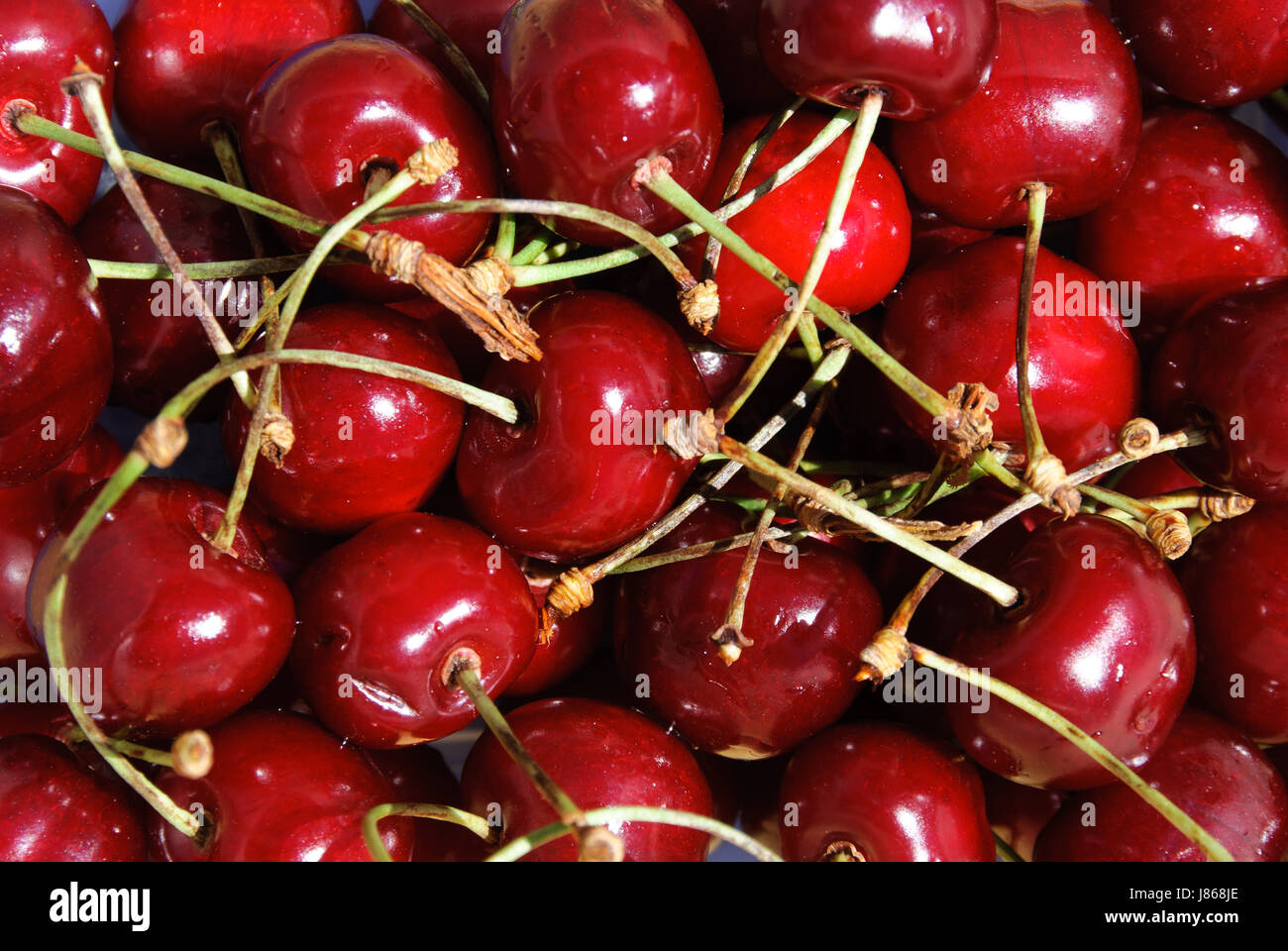 food, aliment, fruit, cherries, backdrop, background, red, bright ...