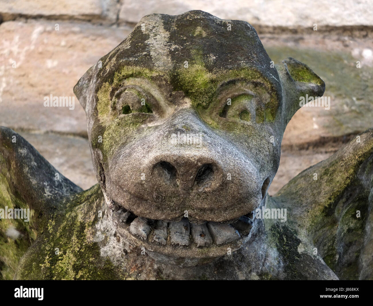 Medieval gargoyle hi-res stock photography and images - Alamy