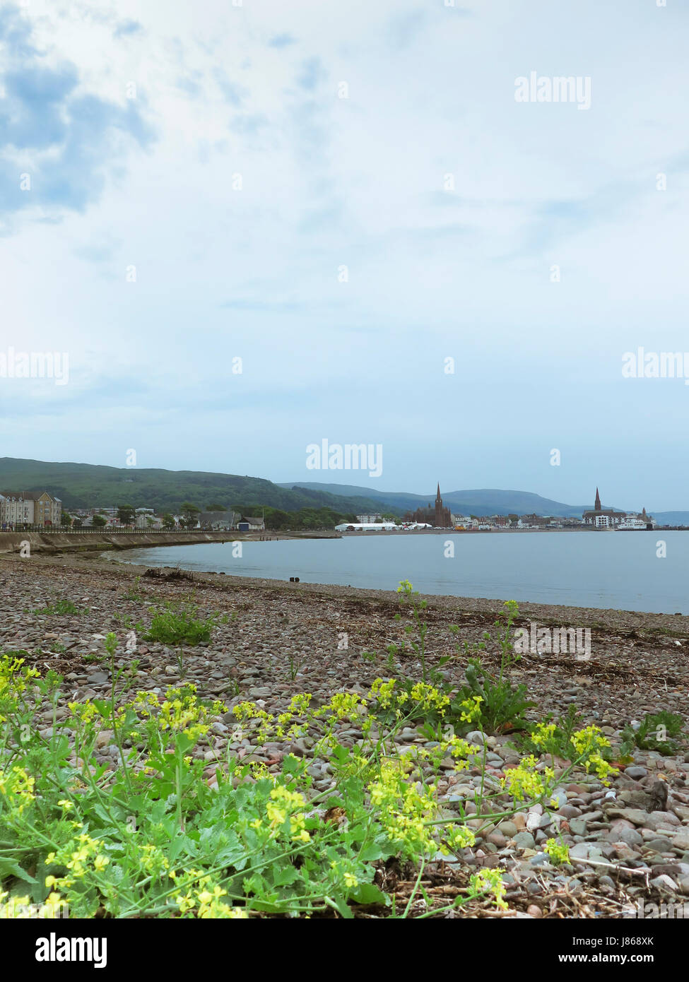 Forecasted hi-res stock photography and images - Alamy