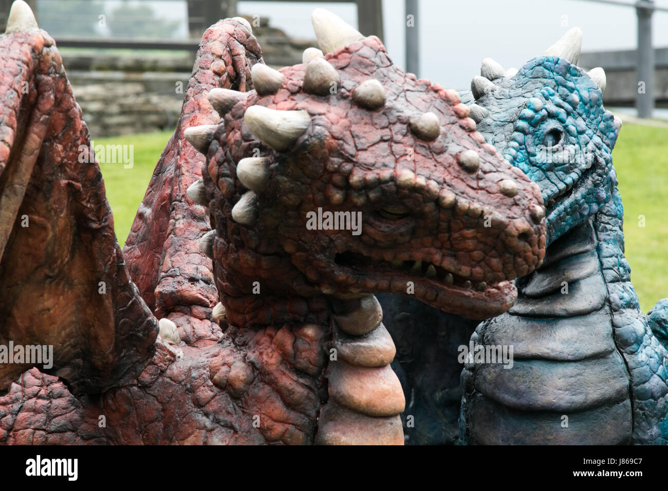 Dewi the dragon hi-res stock photography and images - Alamy