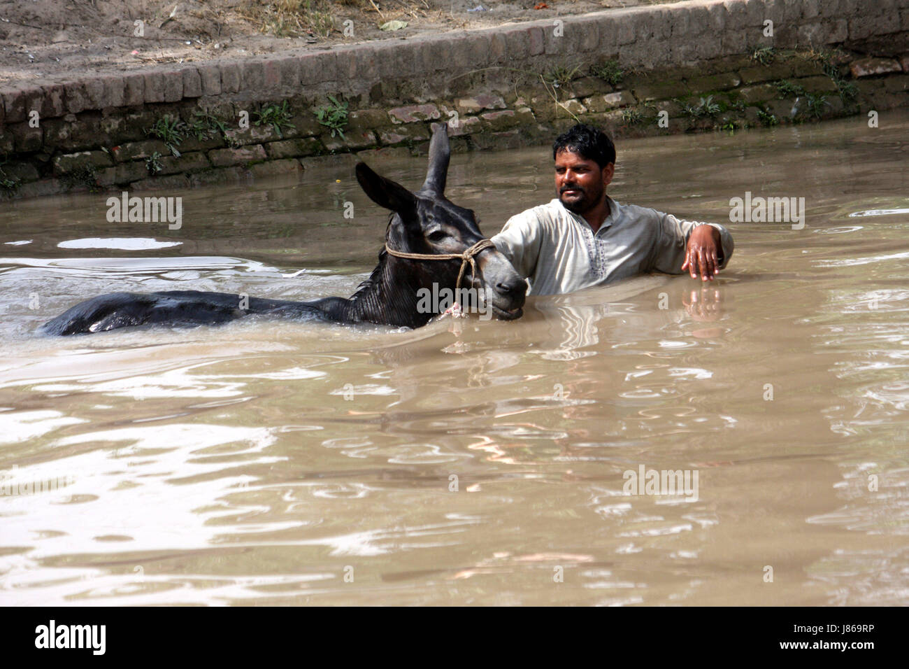 Lahore Canal High Resolution Stock Photography and Images - Alamy