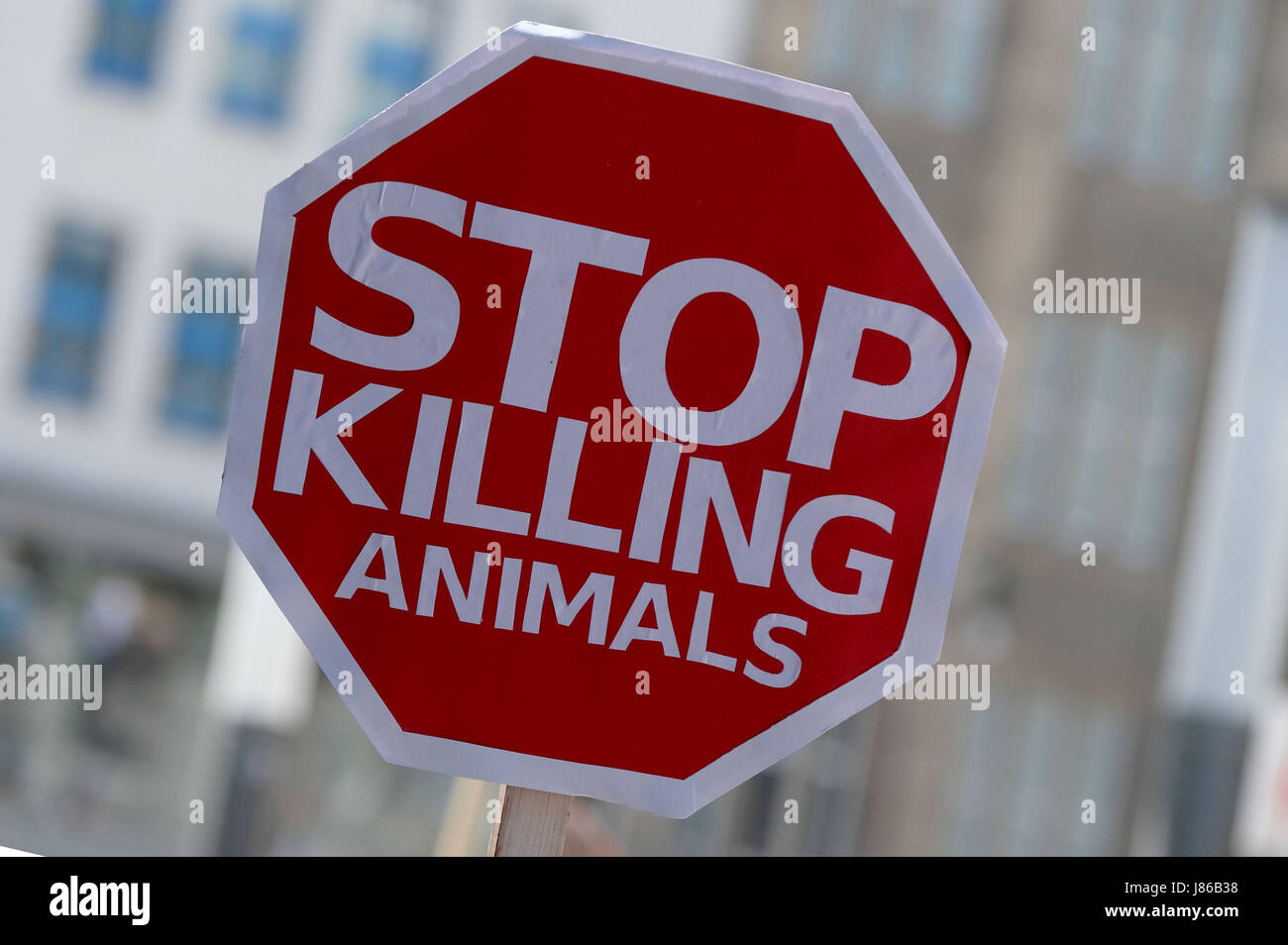 Stop killing animals germany hi-res stock photography and images - Alamy