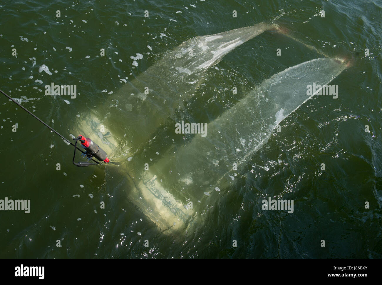 The research boat 'Clupea' pulls a finely-woven fishing net through the ...