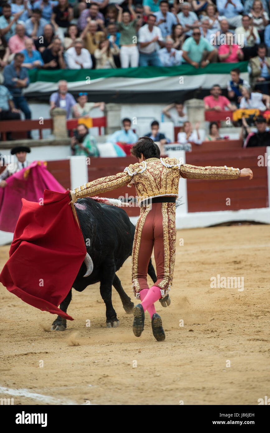 Rey toro hi-res stock photography and images - Alamy