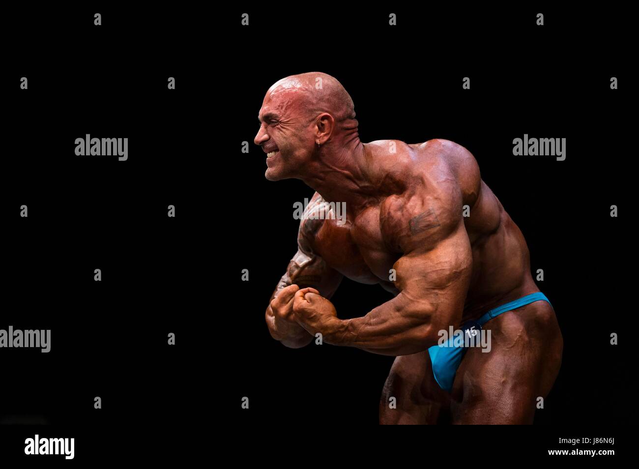 Ifbb hi-res stock photography and images - Alamy
