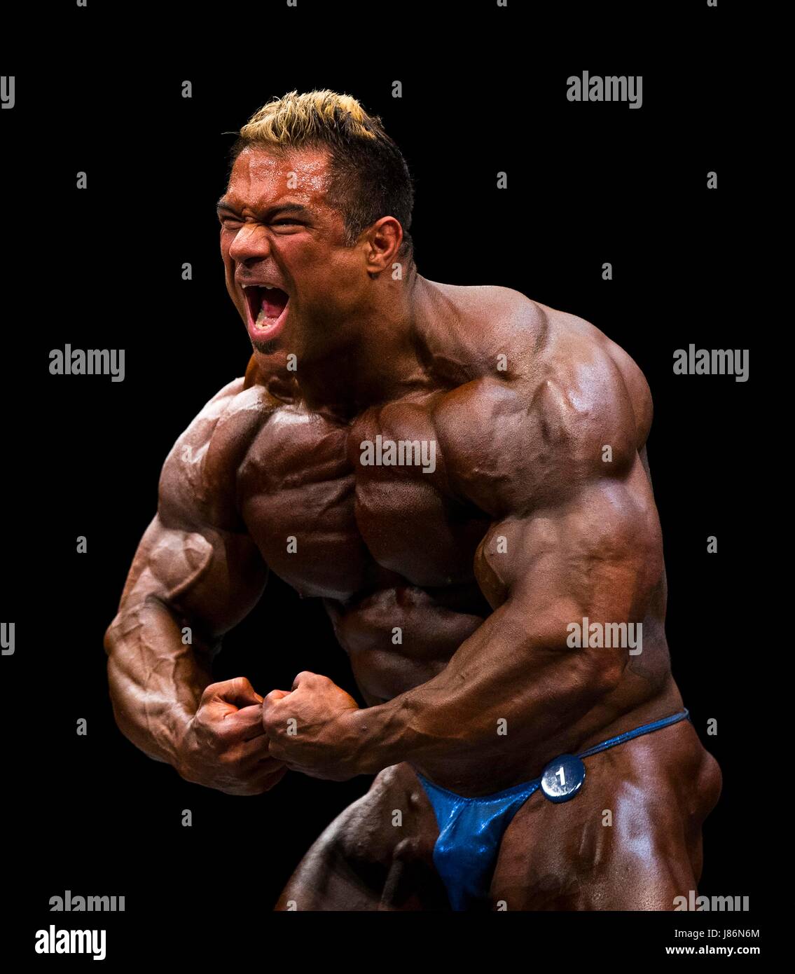 Ifbb hi-res stock photography and images - Alamy