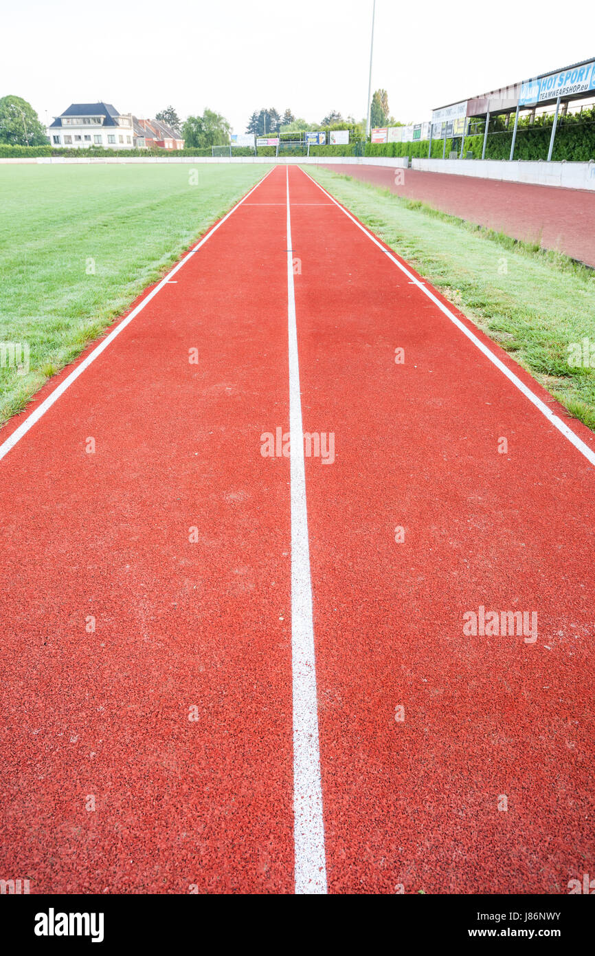 An fast running track in the green grass Stock Photo - Alamy
