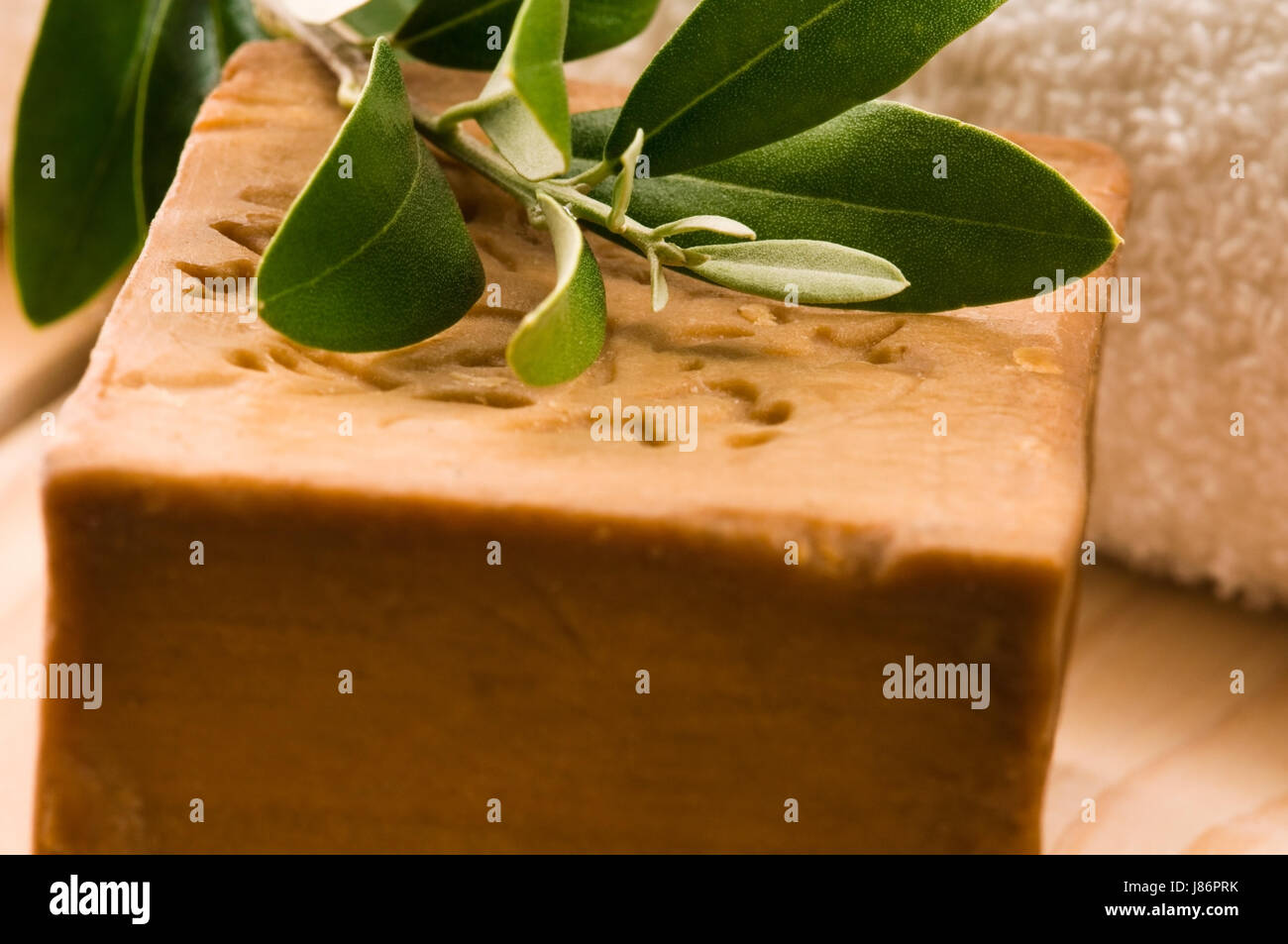 branch olive hygiene soap cosmetic object relaxation tree water ...