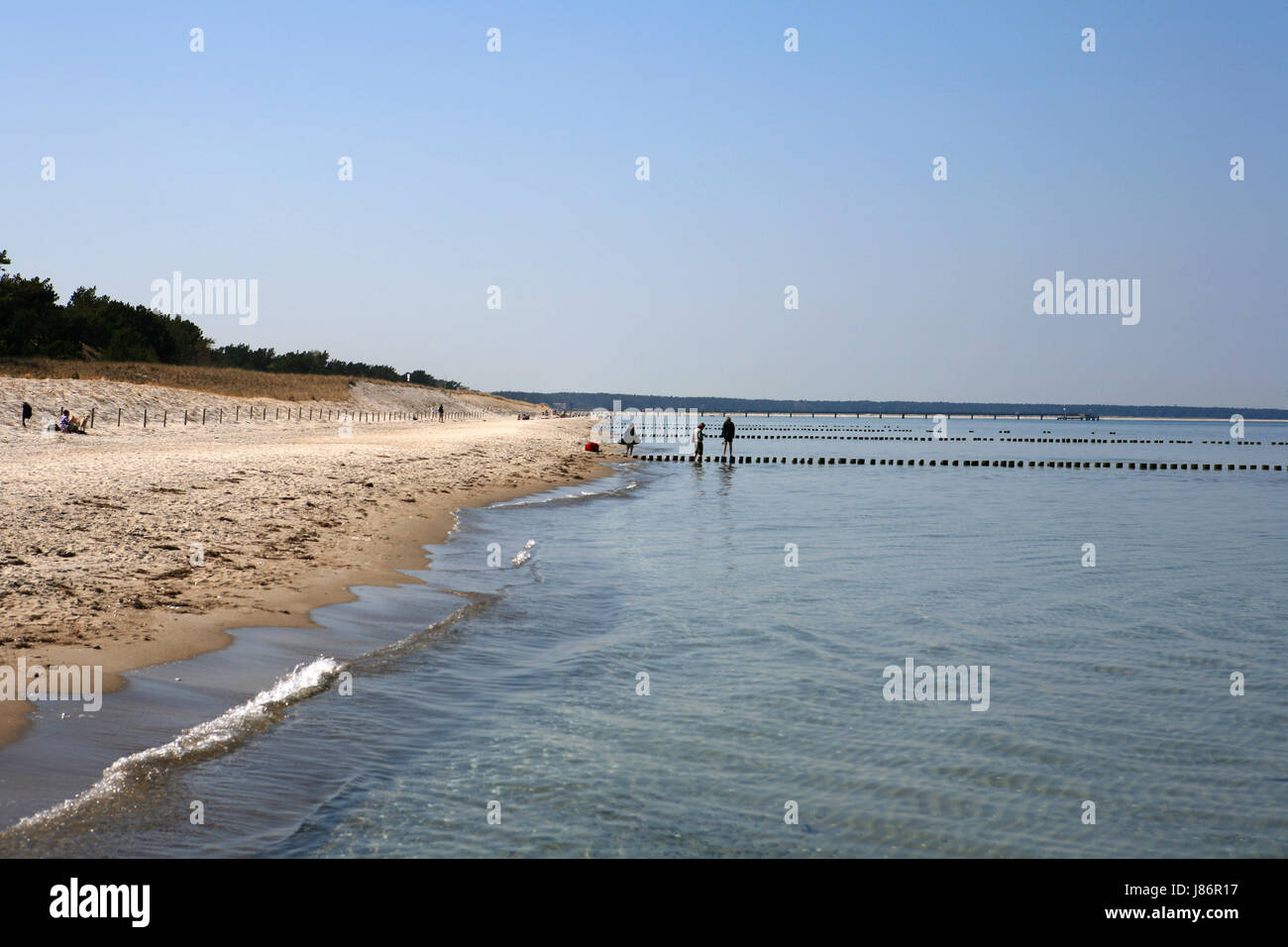 beach seaside the beach seashore salt water sea ocean water sands sand ...