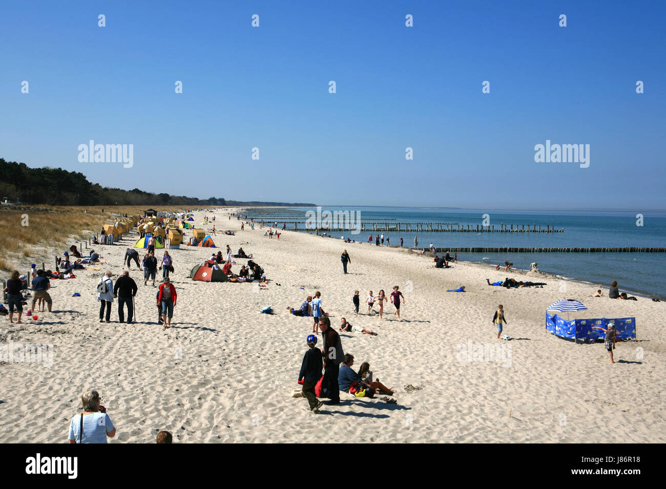 beach seaside the beach seashore salt water sea ocean water sands sand ...