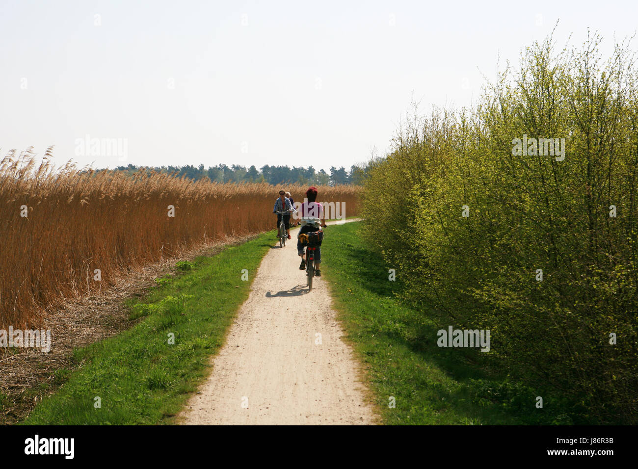 dirt road biker cycle track path way scenery countryside nature woman ...