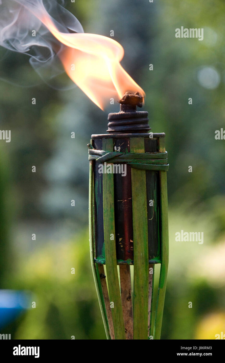 Torch plant hi-res stock photography and images - Alamy