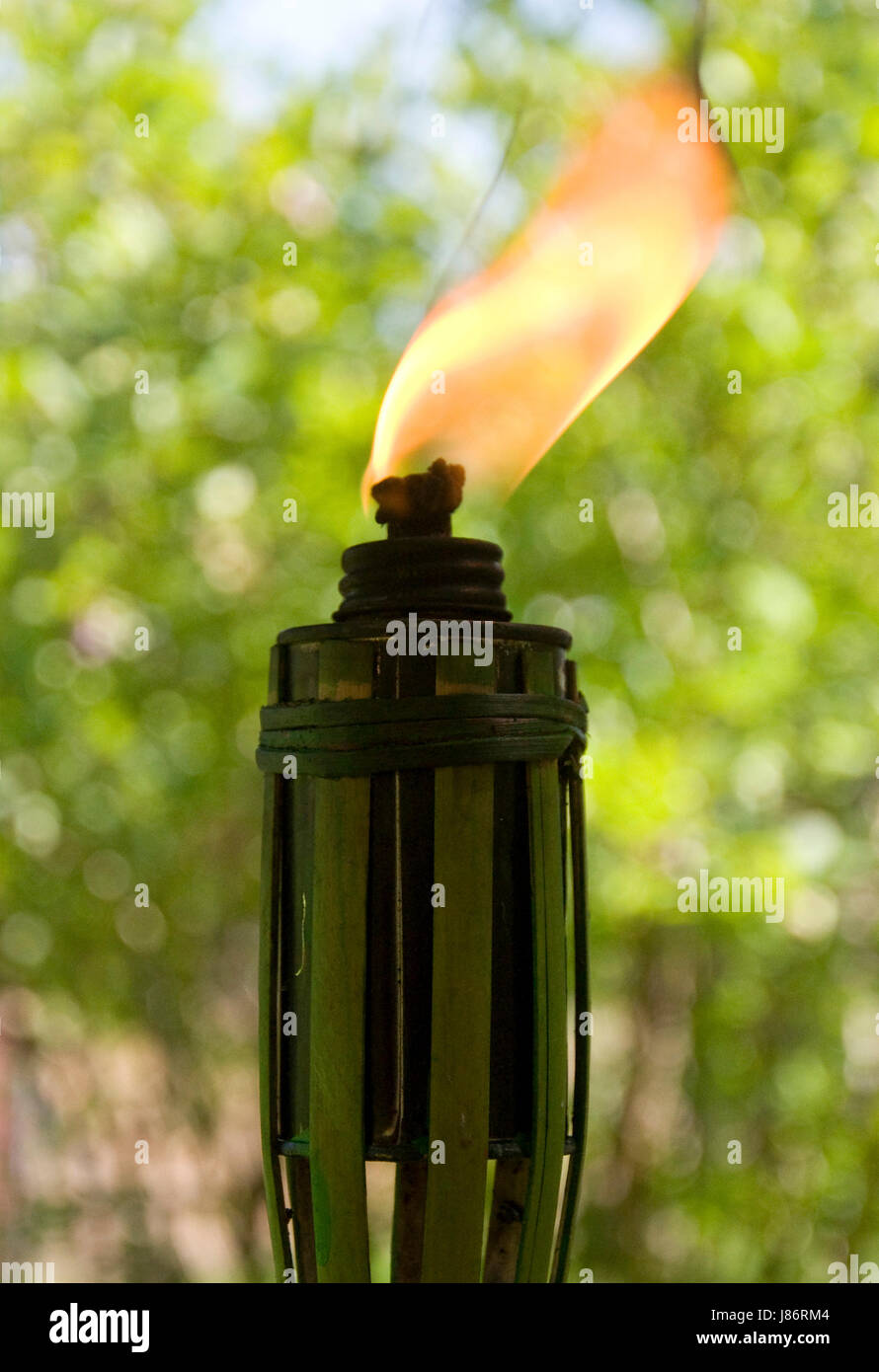 Meet the torch hi-res stock photography and images - Alamy
