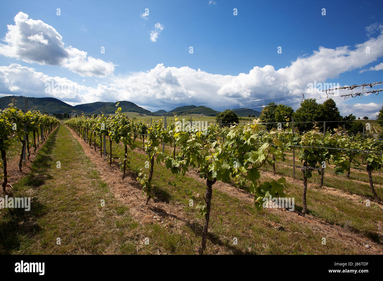 Sw germany hi-res stock photography and images - Alamy