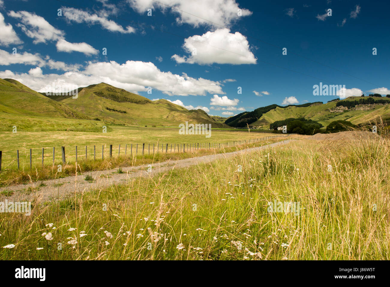 New zealand rangitikei rangitikei river hi-res stock photography and ...