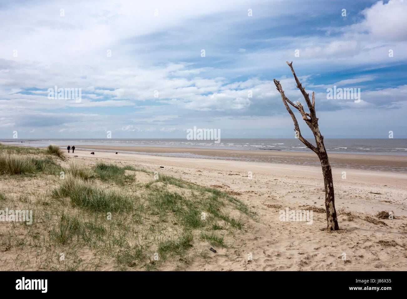 Thornham, beach, Norfolk, England, UK Stock Photo - Alamy