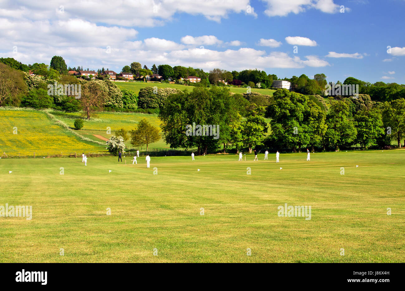 Country cricket field hi-res stock photography and images - Alamy