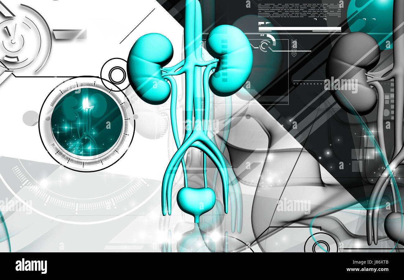 education, medicinally, medical, graphics, colour, illustration ...