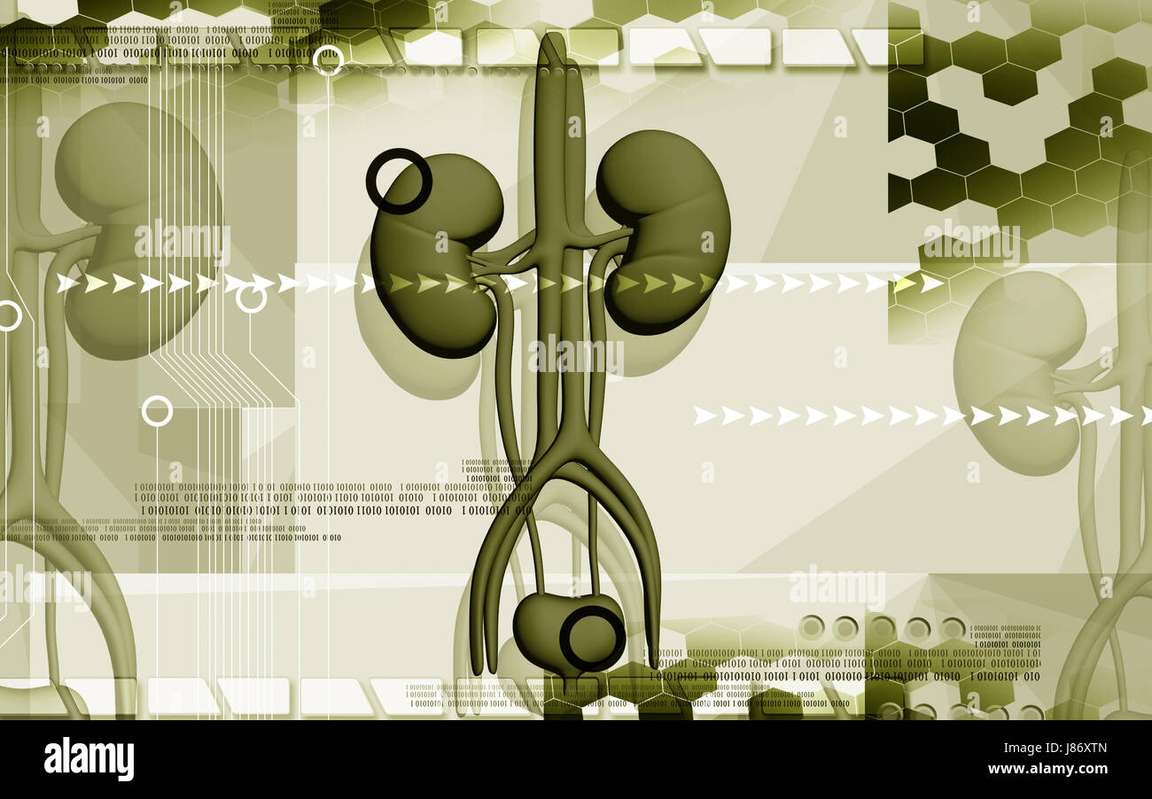 education, medicinally, medical, graphics, colour, illustration ...
