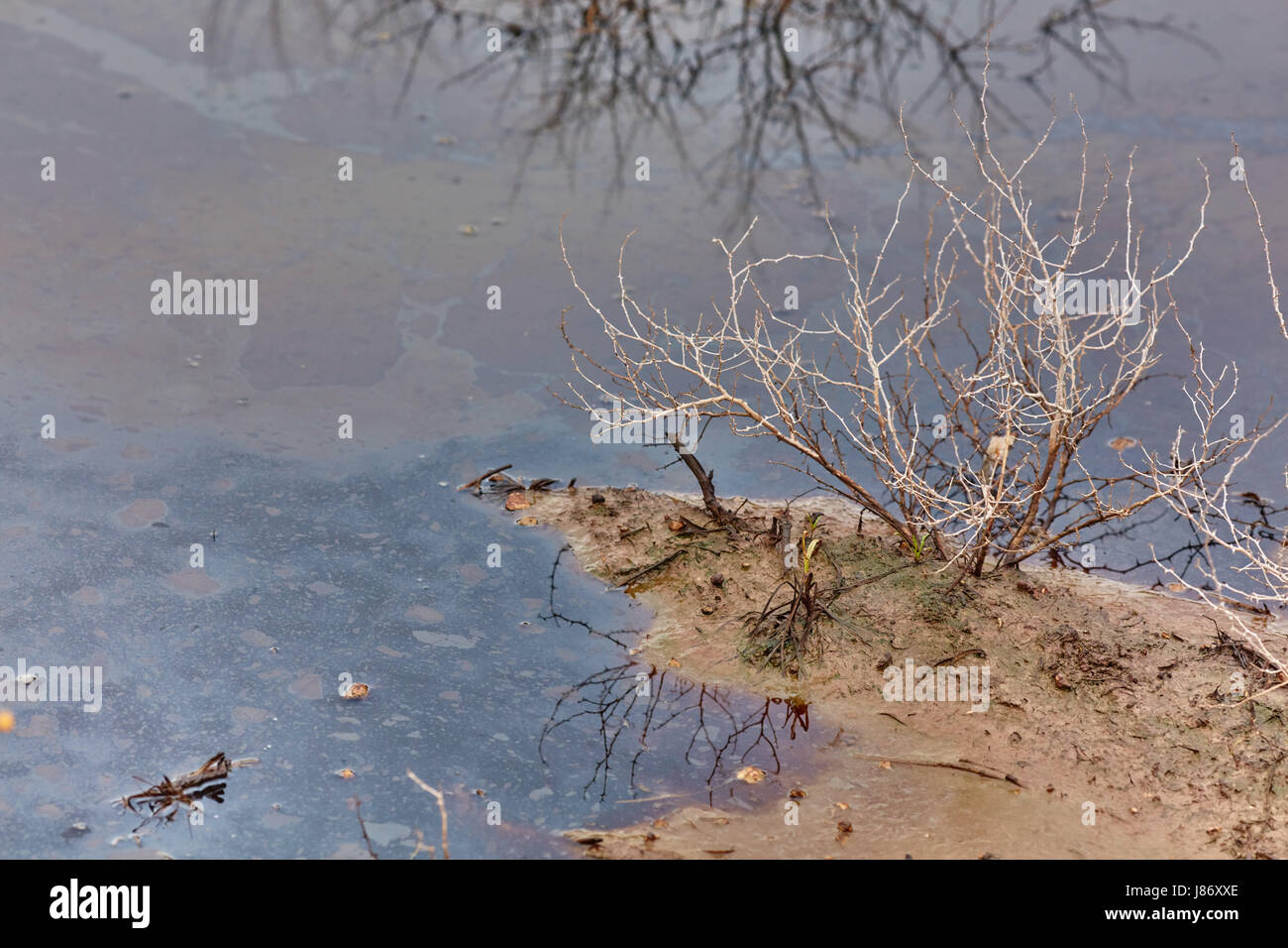 dirty oily water Stock Photo - Alamy